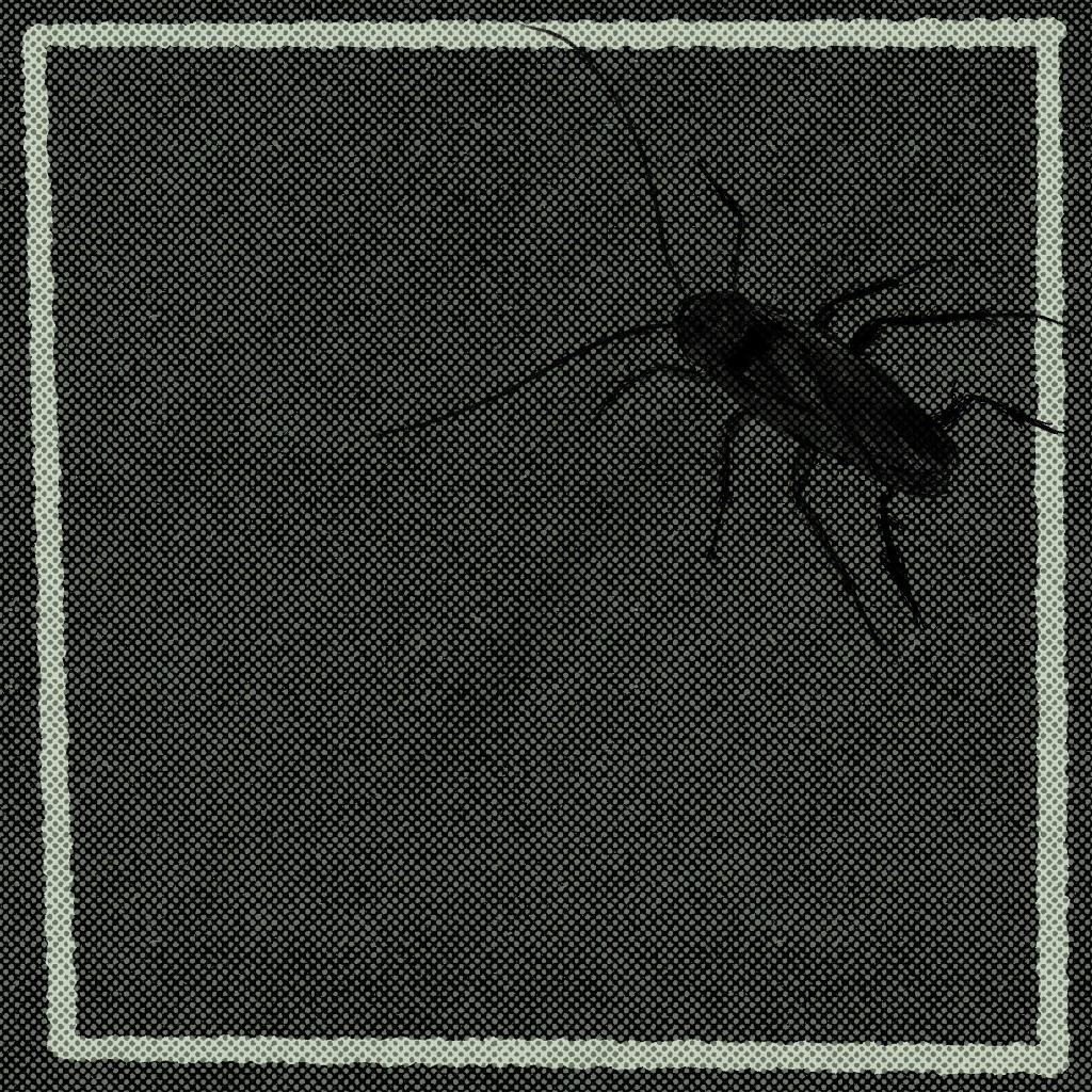 cockroach – Slow Burn Horror